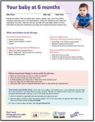 6 Month Checklist (English)_v2 - Nevada WIC